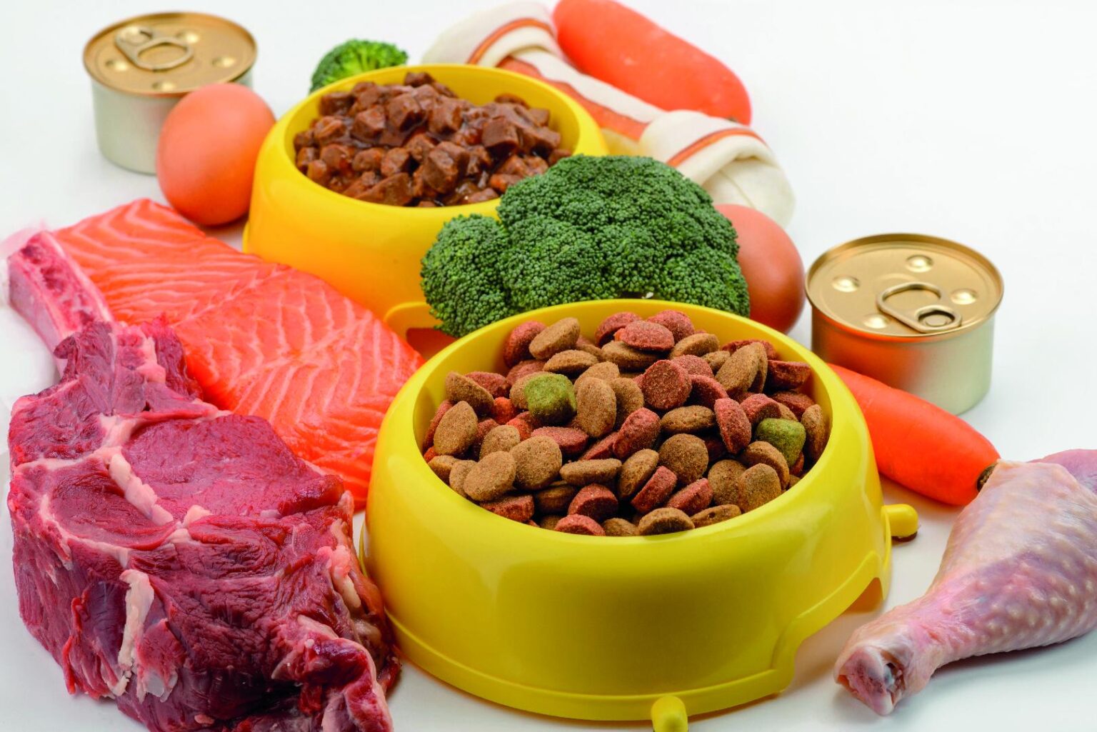 Qué comen los animales – Una exploración de la dieta animal | Guia Animal