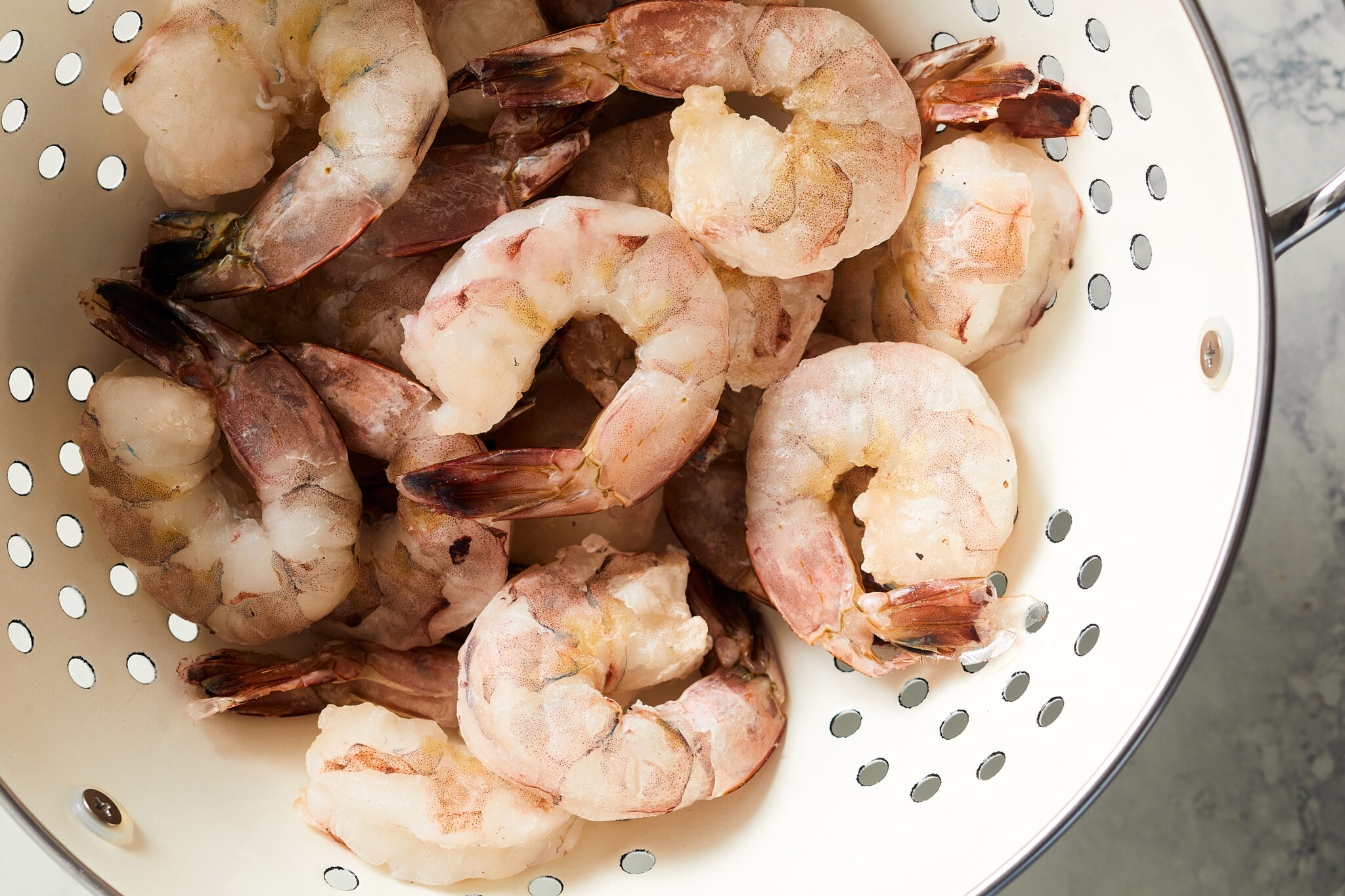Qué comen los camarones y cómo afecta su dieta a su salud | Guia Animal