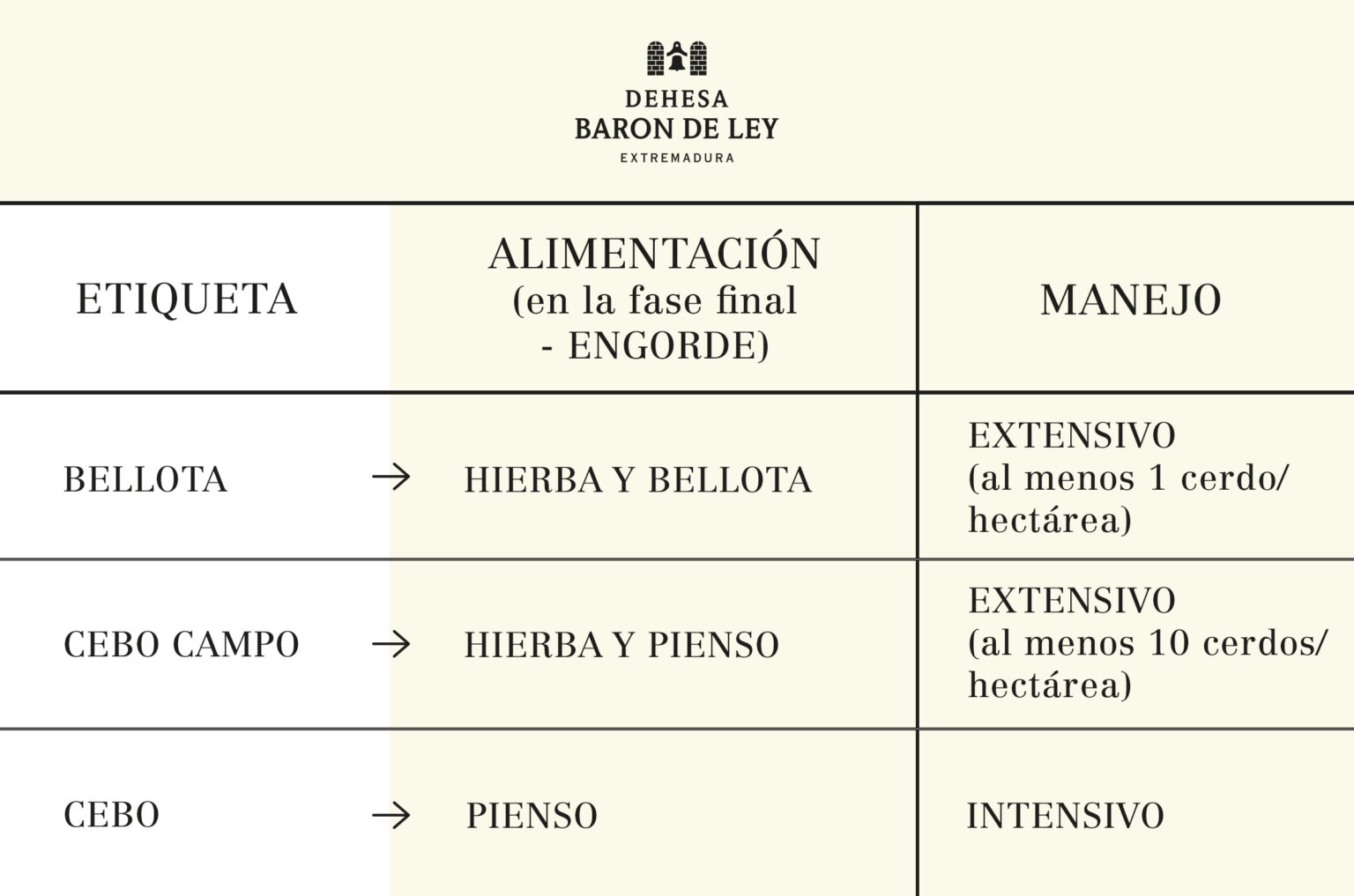 Qué comen los marranos para una alimentación óptima | Guia Animal