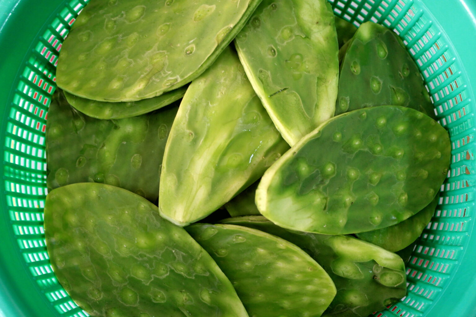 Qué Comen los Mixtecos: Una Mirada a la Gastronomía de un Pueblo ...