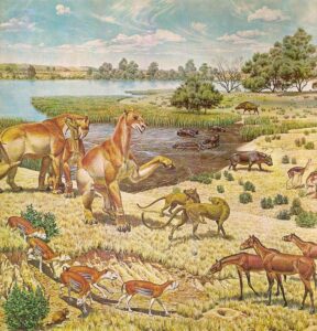 Animales de estepa y animales de la estepa: 10 sorprendentes | Guia Animal