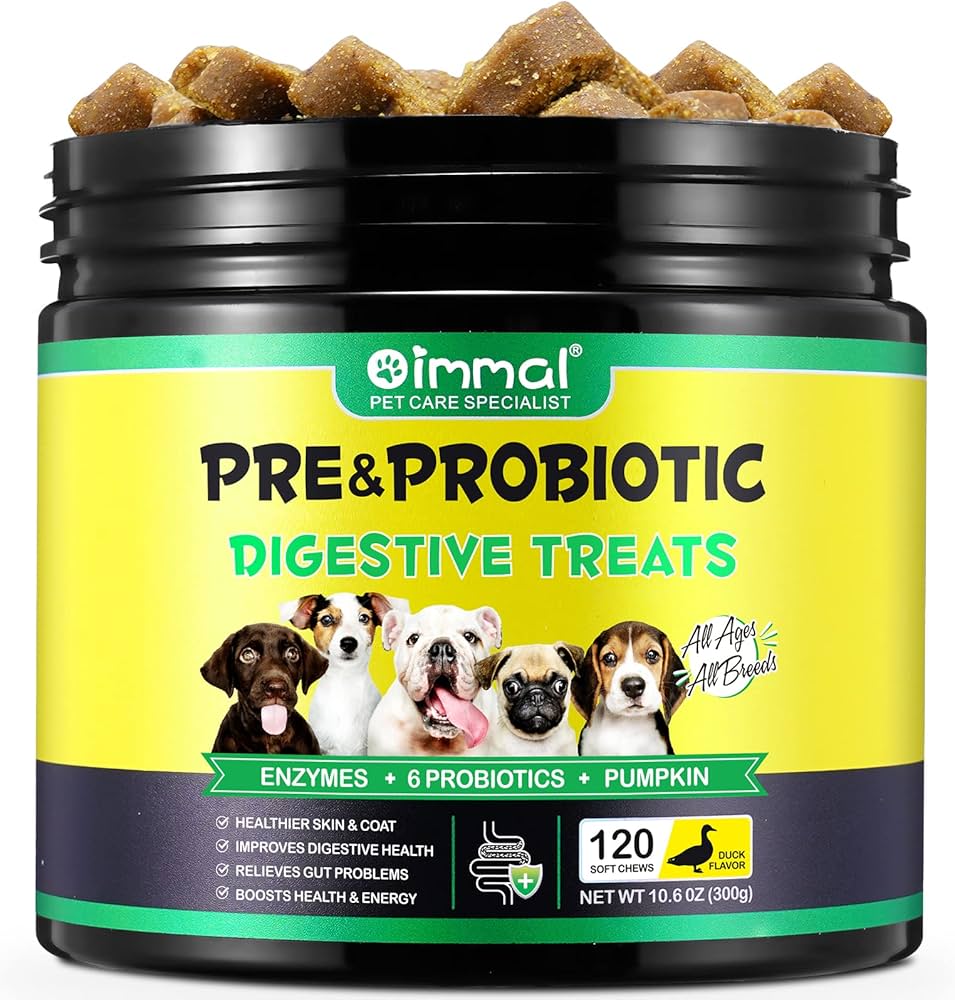Cómo los probióticos para perros mejoran su salud digestiva | Guia Animal