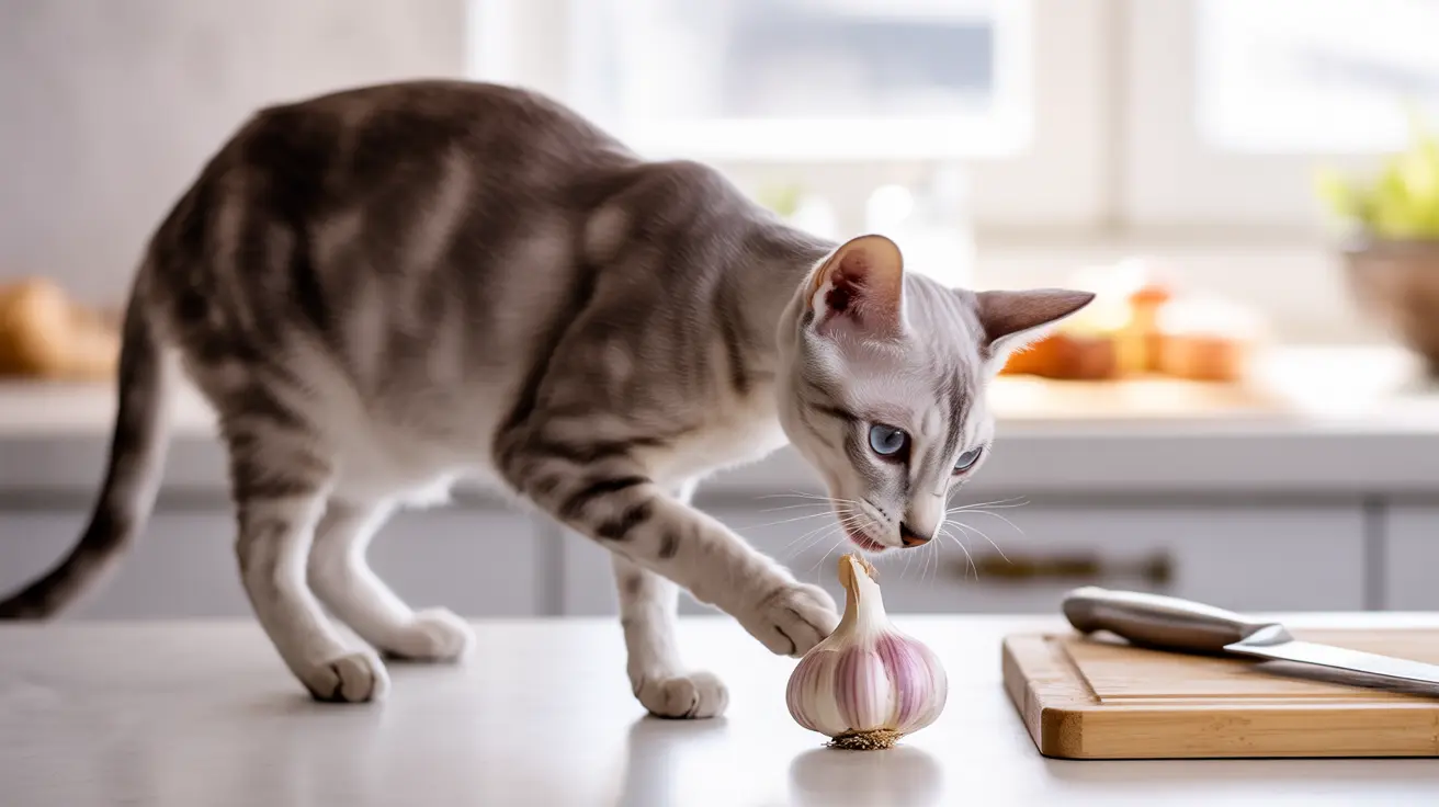 Los gatos pueden comer ajo: tóxico, síntomas y tratamiento | Guia Animal